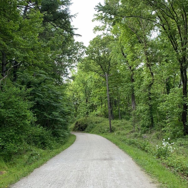 Lorimer Park - 4 tips from 370 visitors