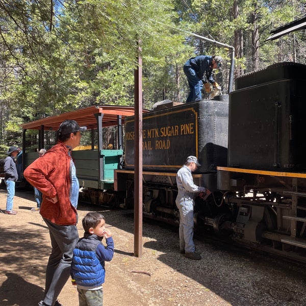 Yosemite Mountain Sugar Pine Railroad - 3 tips