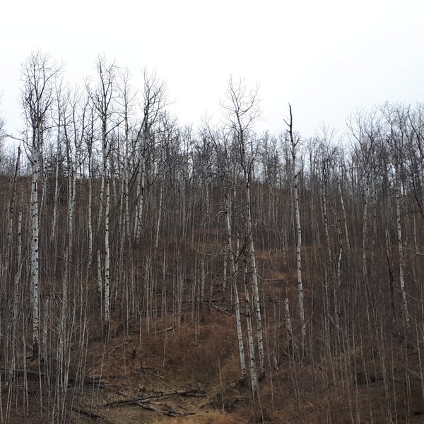 Photos at Constable Chelsea Robinson Park - Nature Preserve in Parkland ...