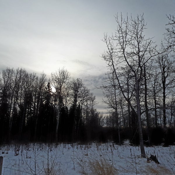 Constable Chelsea Robinson Park - Nature Preserve in Parkland County