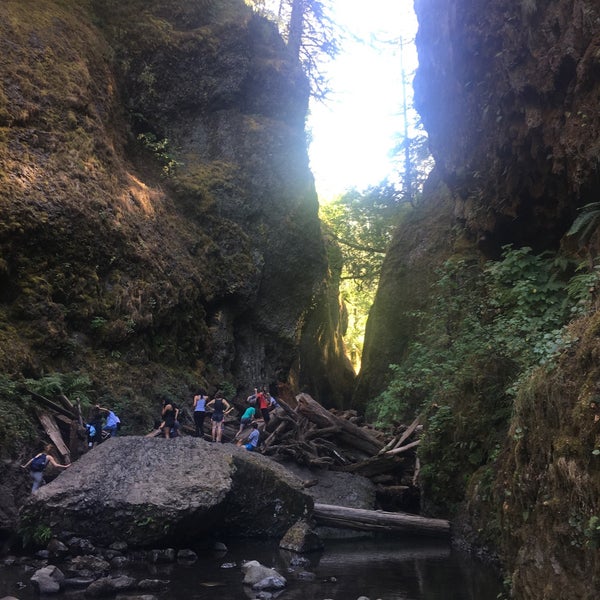 Oneonta Gorge (Now Closed) - Other Great Outdoors in Portland