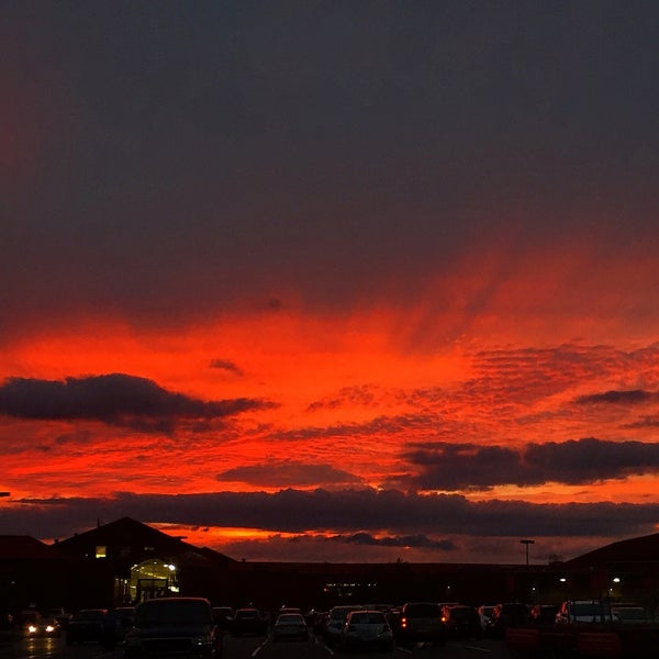 MBTA Bus Route 71 - Harvard Sq/Watertown Sq - West Cambridge ...