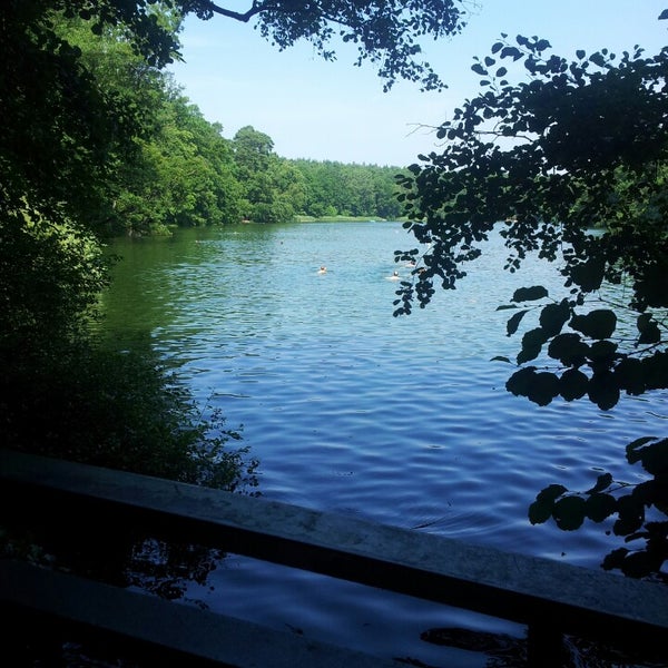 Krumme Lanke - Lake in Zehlendorf