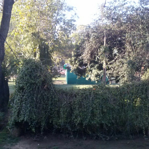 Taurus CSD Canteen - 1 tip