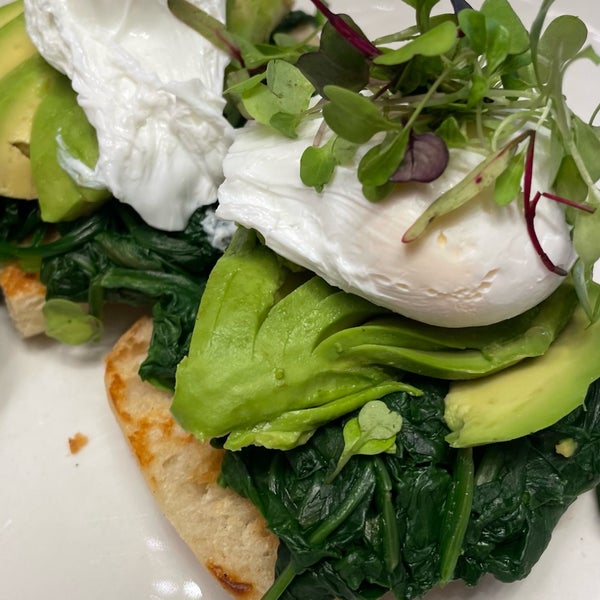 tashas Cafe - Melrose - Sandton, IGauteng