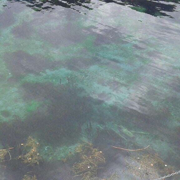 Lago Puelo - Lago Puelo, Chubut