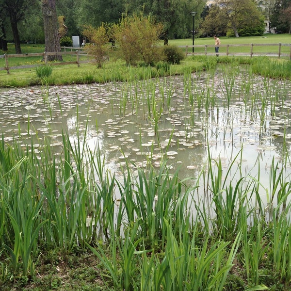 Photos at Parc Bertrand - Park
