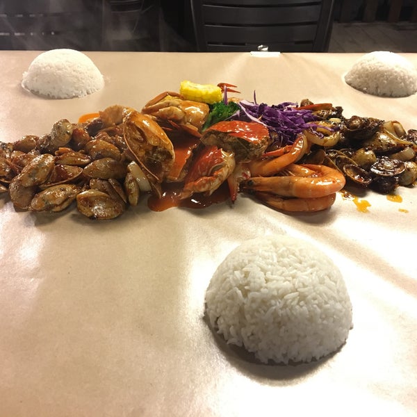 shell out fizzy cafe - Chloe Hughes