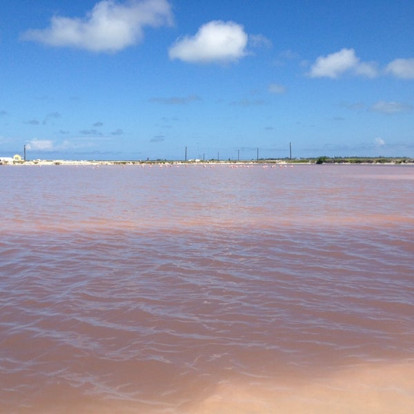 Las Coloradas - 31 tips from 1716 visitors