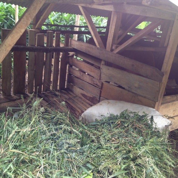 Rindu Alam - Puncak Pass - Bogor, Jawa Barat