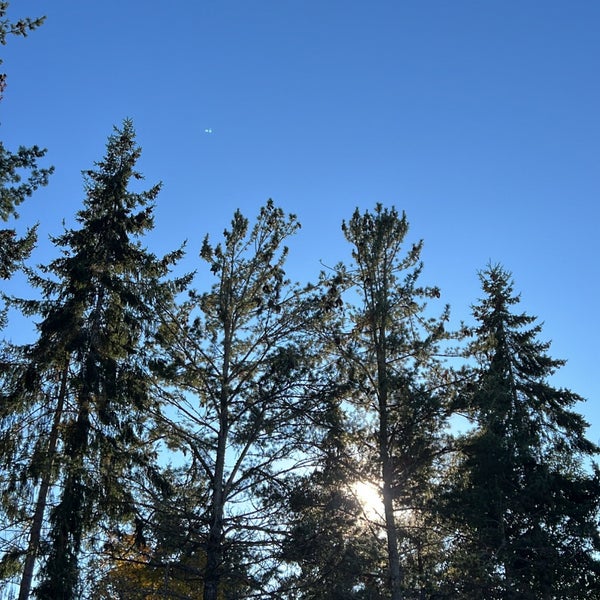 Waterfront Park - Winslow - Bainbridge Island, WA