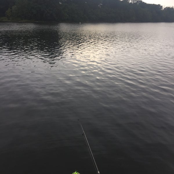 Photos at Wilson Point Park - Park