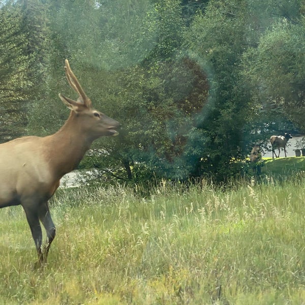 Evergreen Library - Library