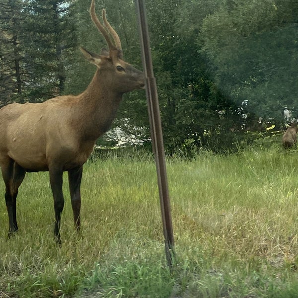 Evergreen Library - Library