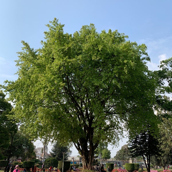 Ratna Park - Ratna Park