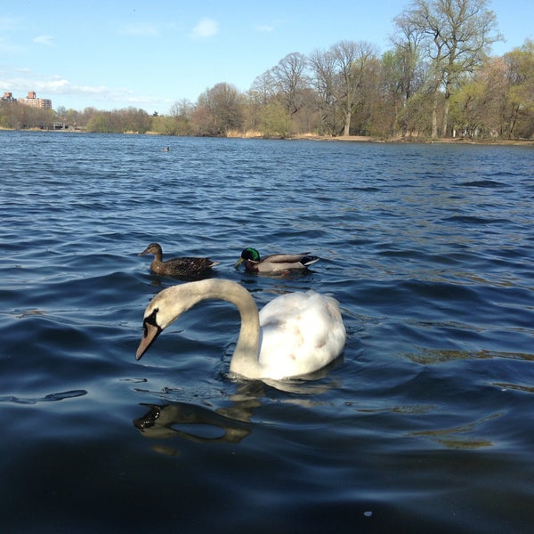 Prospect Park Lake - Lake in Prospect Park