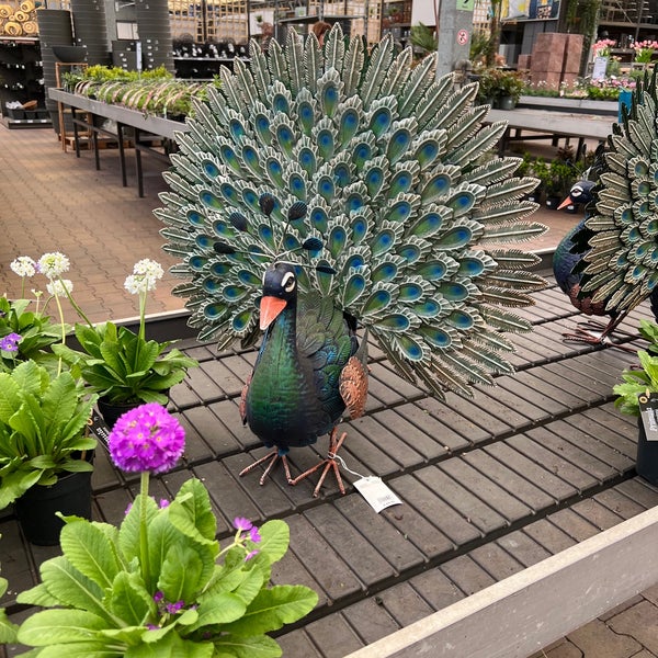 Intratuin - Cruquius, Noord-Holland