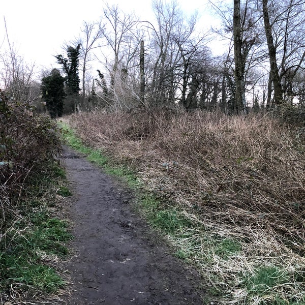 Het Steengelaag - Blauwe Wegel