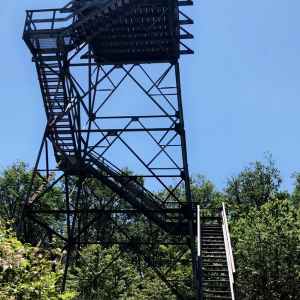 Bickle Knob Observation Tower - Scenic Lookout