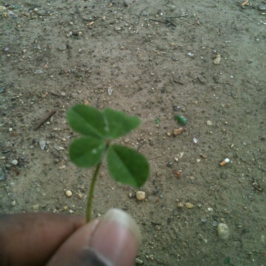Chimbo Mart - Chimborazo - 1 tip from 77 visitors