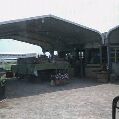 The Collard Shack - Farm