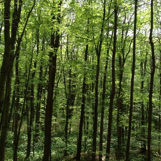 Mass Audubon Arcadia Wildlife Sanctuary - 5 tips