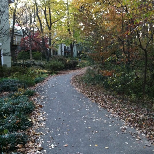 The Blue Trail - Reston, VA