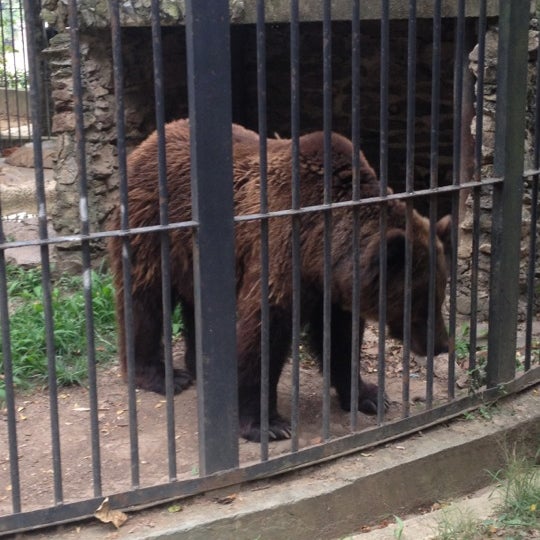 Parque Zoológico El Pinar - Zoo