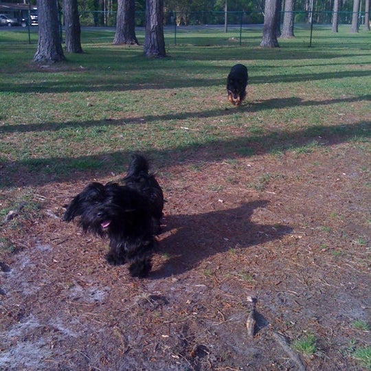 Woof Spot at Grant's Landing - 2 tips from 11 visitors