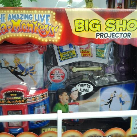 Bug Museum - West Bremerton - 4 tips from 186 visitors