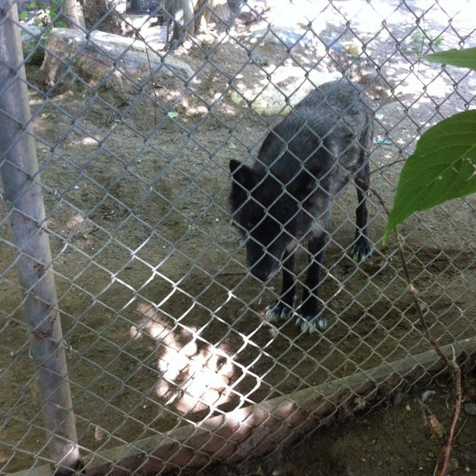 Saskatoon Forestry Farm Park & Zoo - University Heights - 1903 Forestry ...
