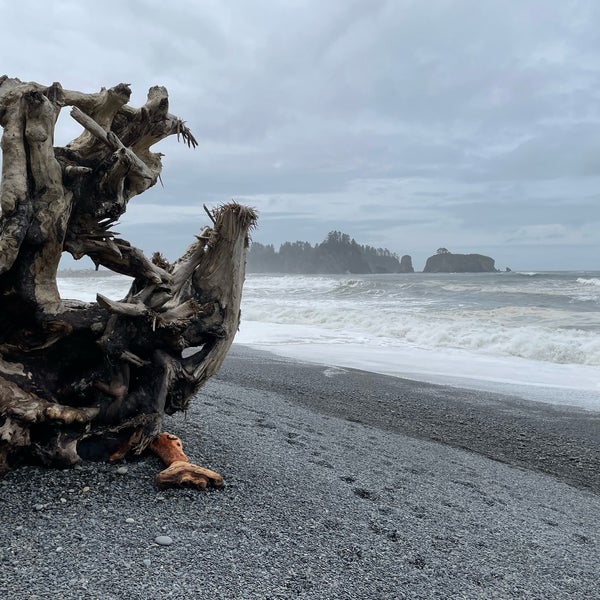 Quileute Indian Reservation - 1 tip