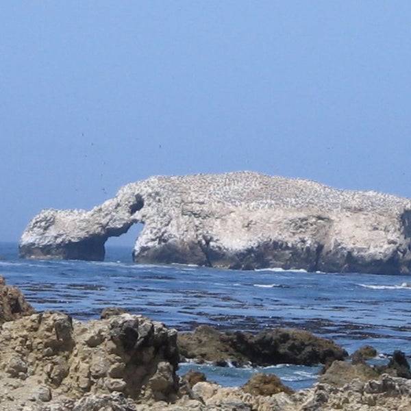 San Juan de Marcona - 4 tips from 161 visitors
