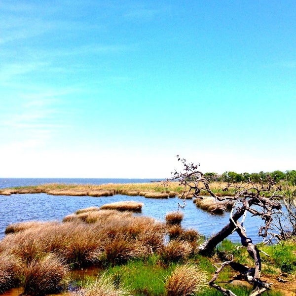 Duck Soundside Boardwalk - Duck, NC
