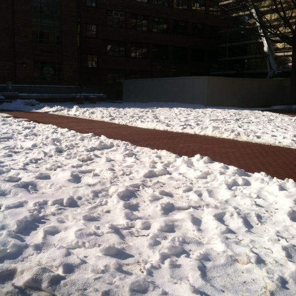 Photos at GWU University Yard - George Washington University - 5 tips