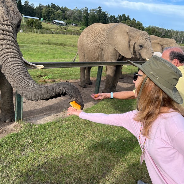 Knysna Elephant Park - 20 tips