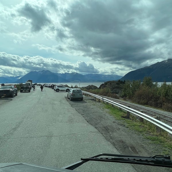 Photos at Beluga Point - 8 tips