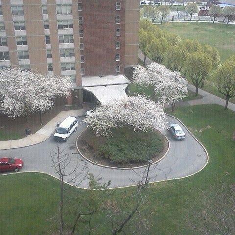 Photos at Starrett City | Spring Creek Towers - Housing Development in ...