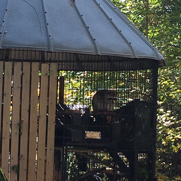 Willowbrook Wildlife Center - 4 tips from 288 visitors