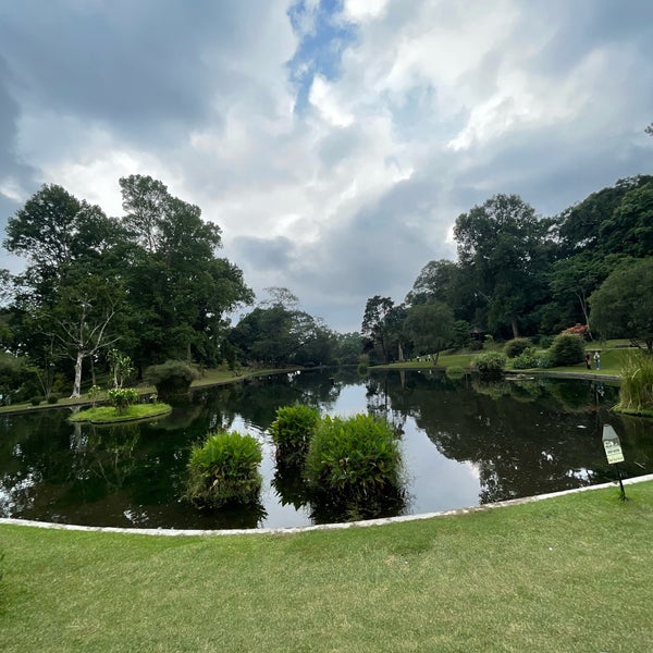 Kebun Raya Taman Wisata Cibodas - Garden