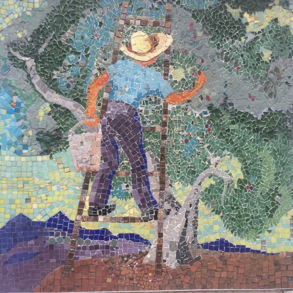 Graber Olive House - 5 tips from 160 visitors