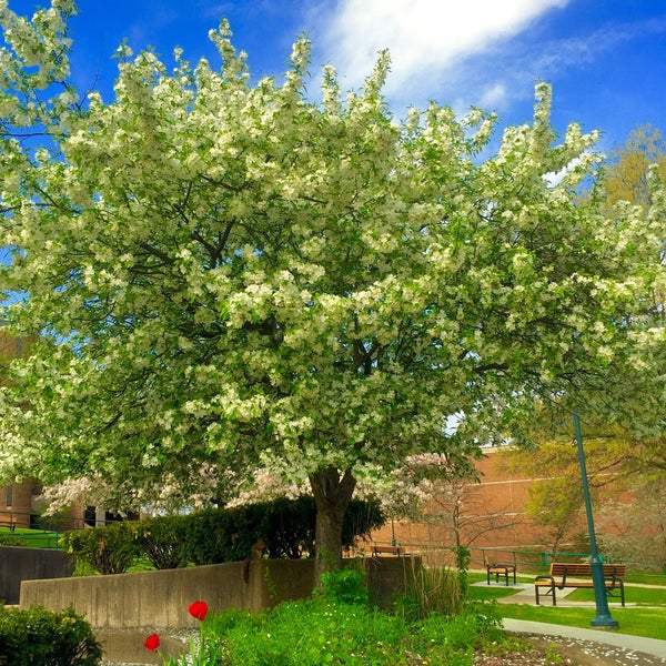CCAC Milton Hall - North Side - Pittsburgh, PA
