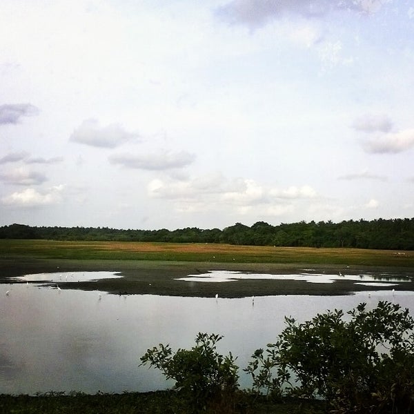 Nikaweratiya | නිකවැරටිය - City