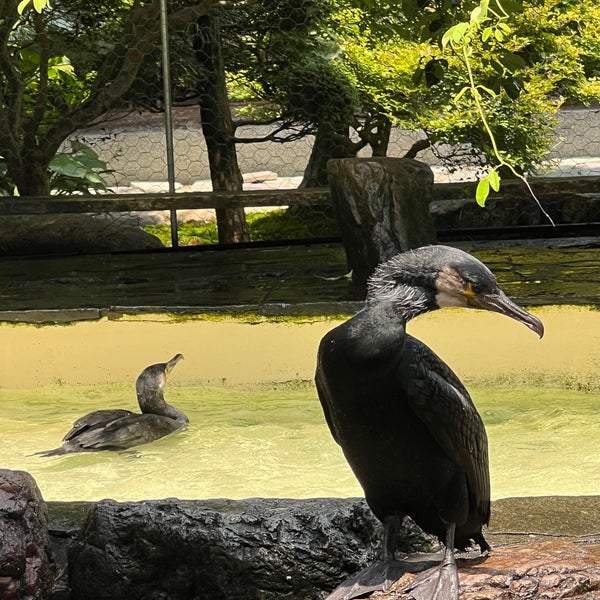 鵜の家 足立 - Japanese Restaurant in 関市
