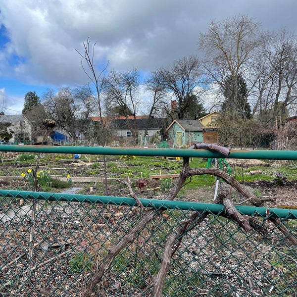 clinton community garden - Portland, OR