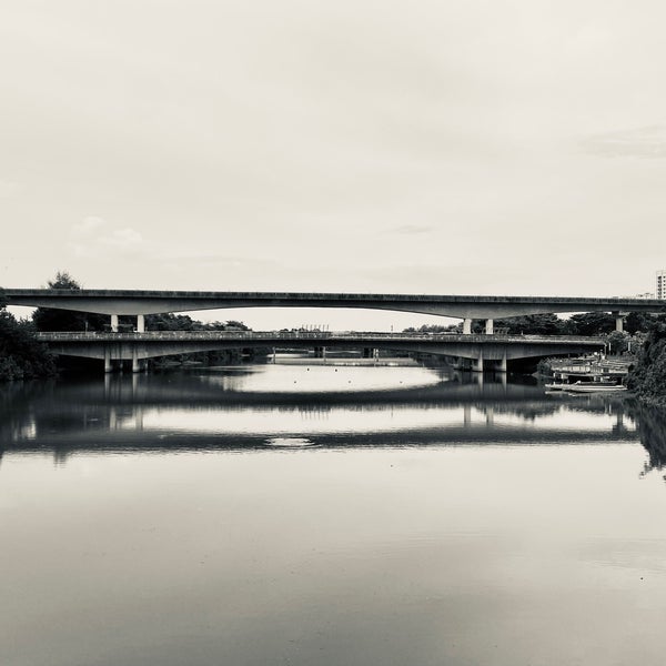 Sengkang Floating Wetland - Bridge
