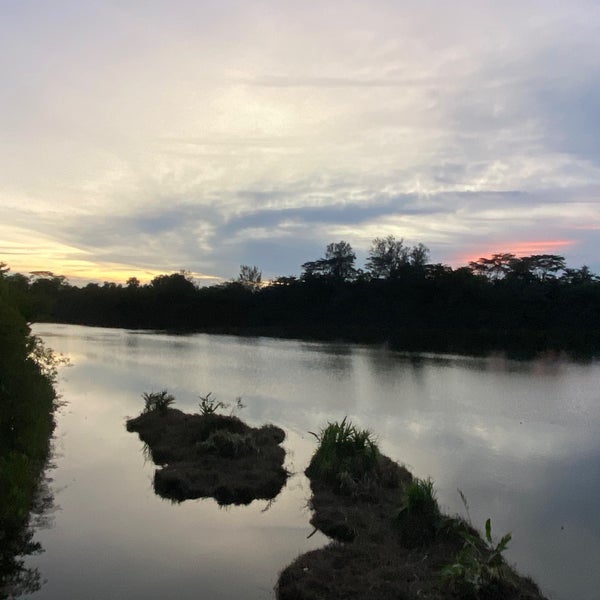 Jewel Bridge - Punggol - 6 tips from 282 visitors