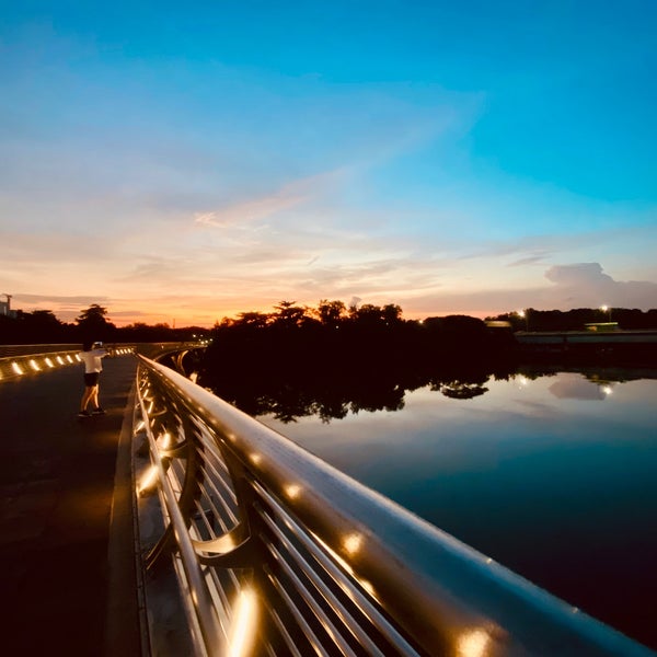 Sengkang Floating Wetland - Bridge