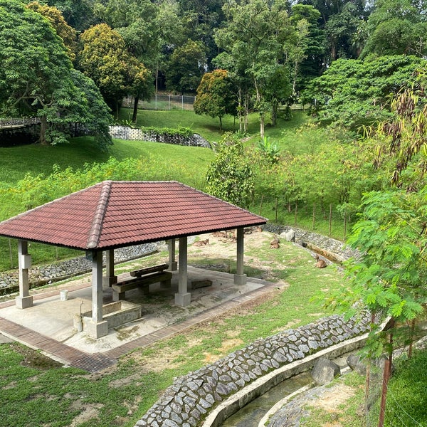 Taman Rusa & Kancil (KL Deer Park) - 9 tips