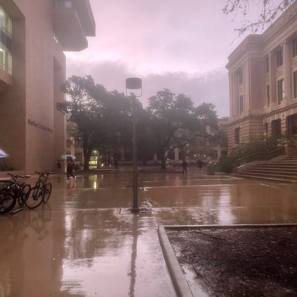 Sterling C. Evans Library - Texas A&M University - College Station, TX